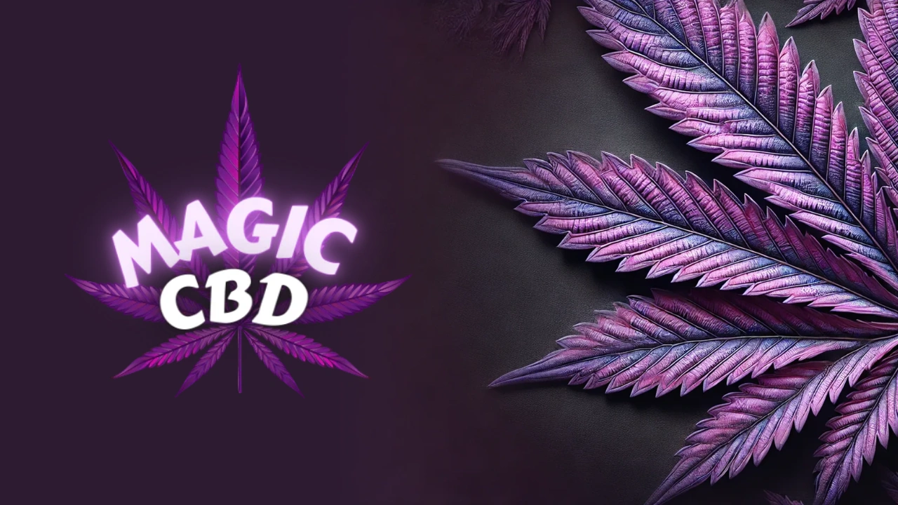 Magic CBD, une boutique à mettre dans vos favoris : notre avis